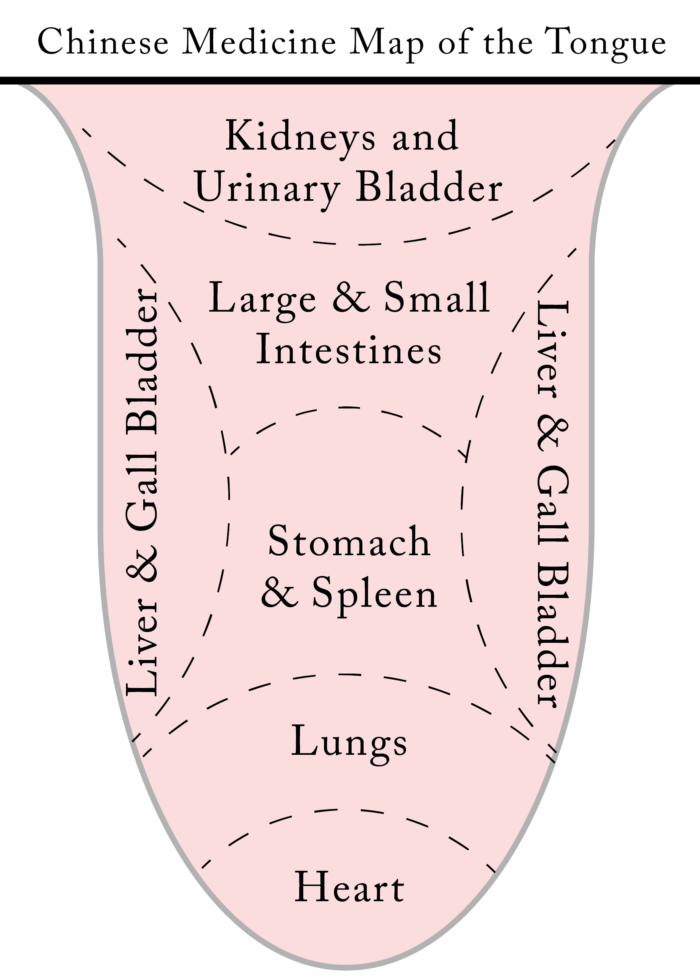 Traditional Chinese Medicine (TCM) Tongue Diagnosis